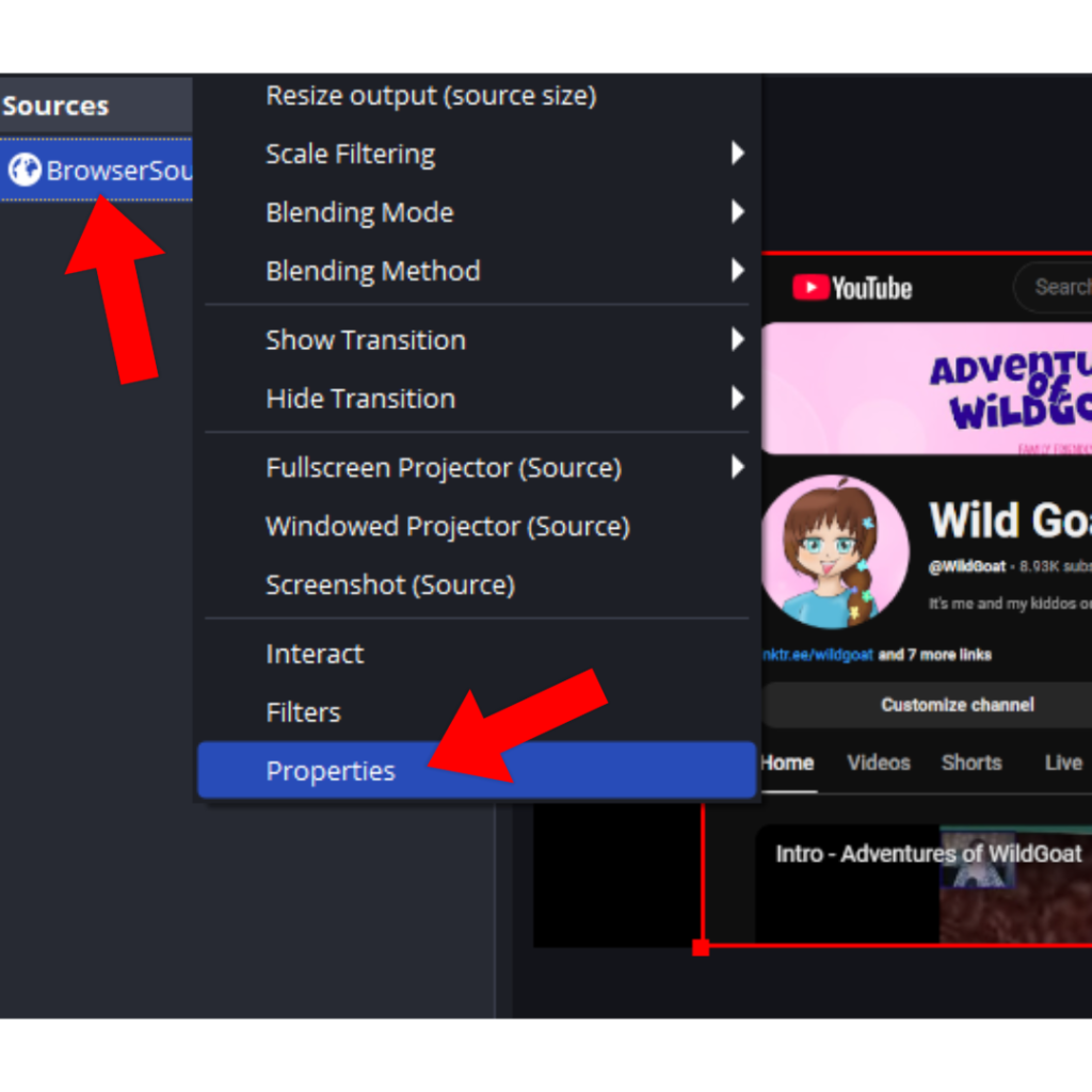 OBS Studio-Interact – Adventures of WildGoat