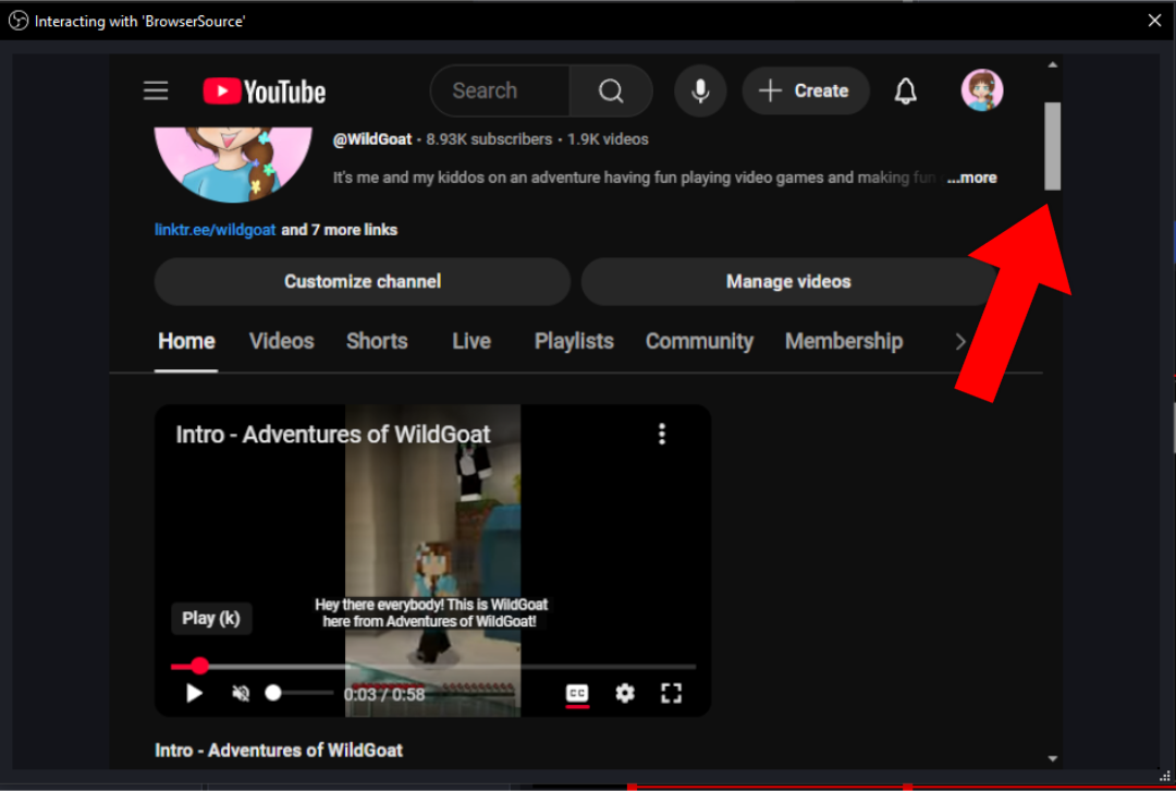 OBS Studio-Interact – Adventures of WildGoat