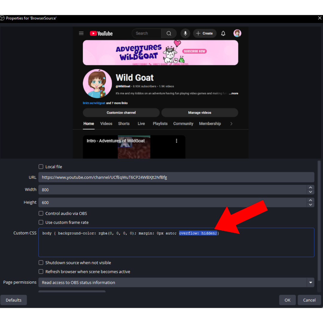 OBS Studio-Interact – Adventures of WildGoat